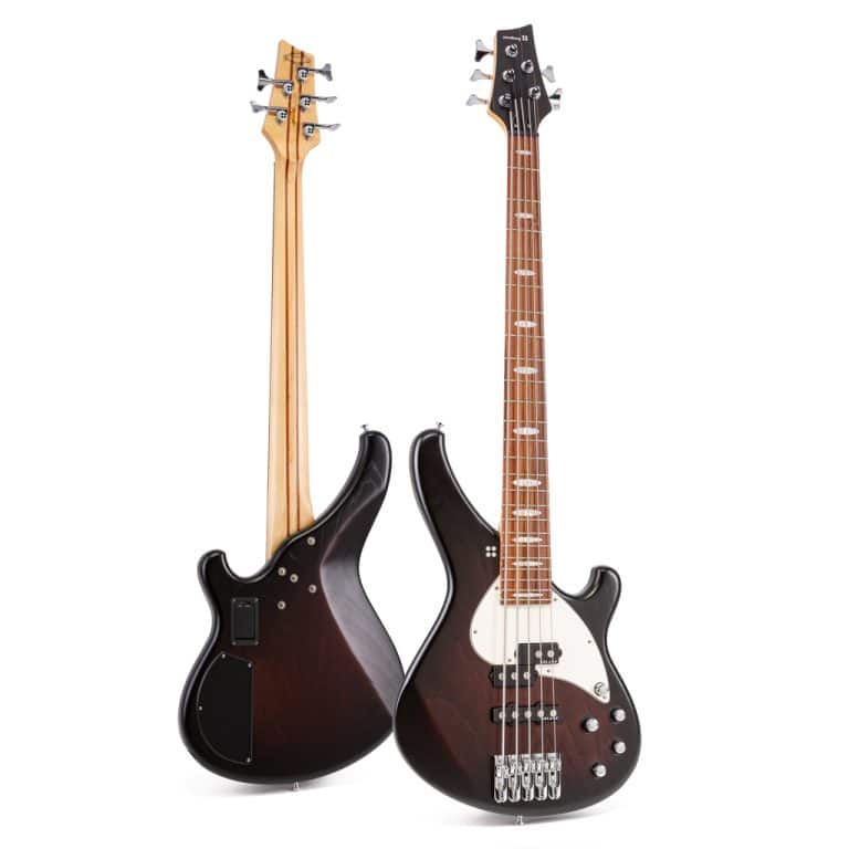 Sessionessenz: Sandberg Custom Yolanda Charles Signature Bass im Test ...