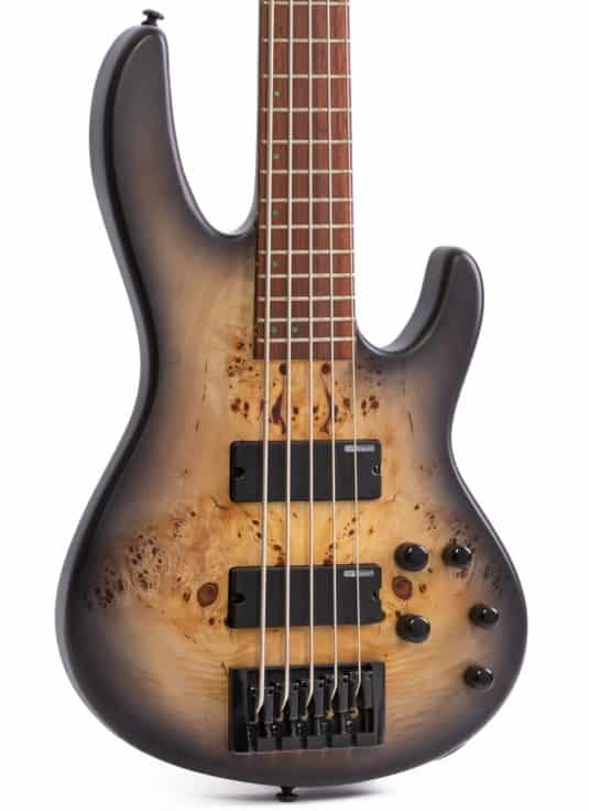 Test: LTD by ESP D-5 | GITARRE & BASS